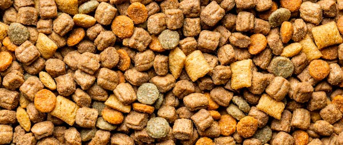 Pienso y alimentación de Calidad - Nutrición para Mascotas